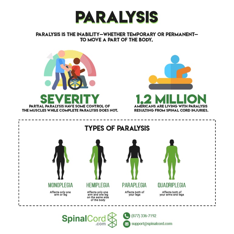 Types of Paralysis: Monoplegia, Hemiplegia, Paraplegia, and Quadriplegia
